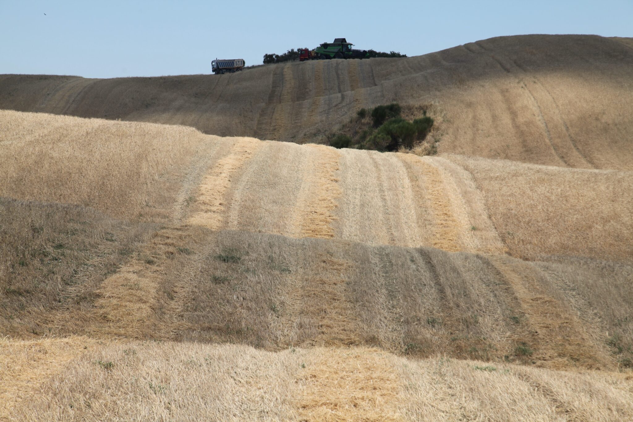 La poesia della Valdorcia nella pasta di Alessio Panarese ~ Valley Life
