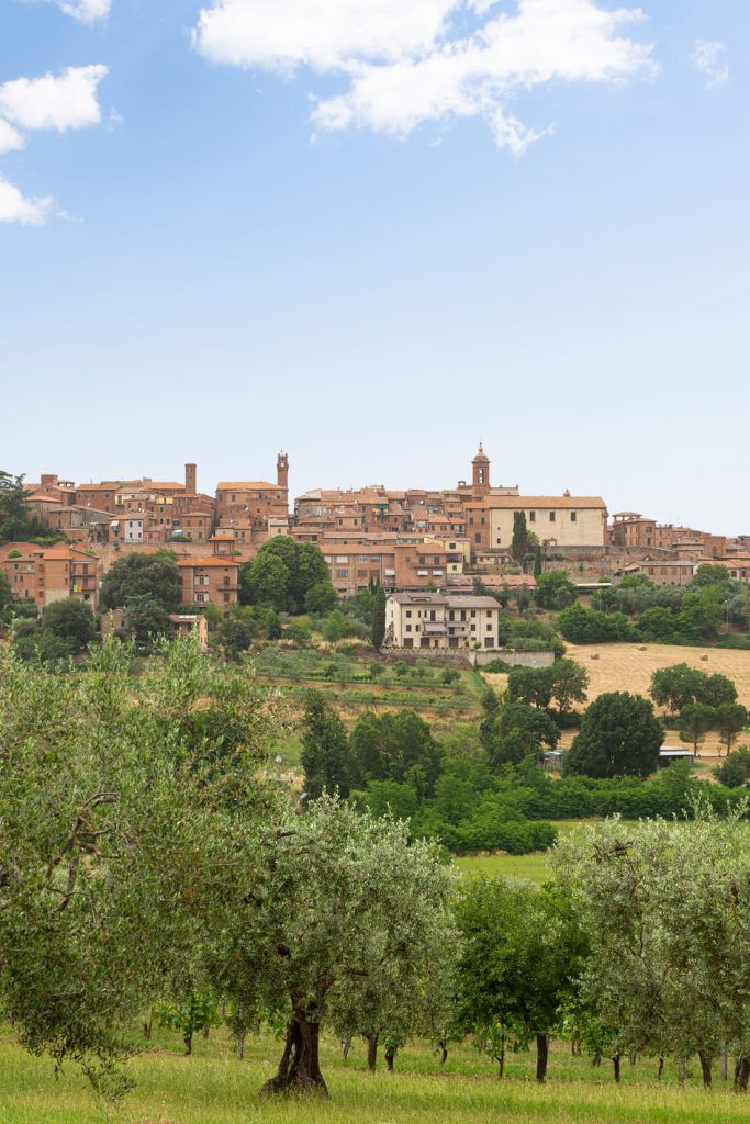 Torrita di Siena, sentinella dell’estate ~ Valley Life